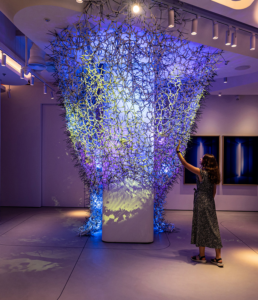 The Tree Of Life: 37x